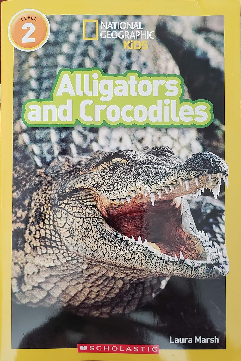 Amazon.com: Alligators and Crocodiles: 9780545854818: Laura Marsh: 圖書