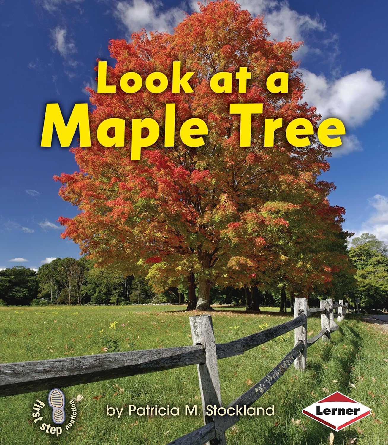 Look at a Maple Tree (First Step Nonfiction ― Look at Trees): Stockland ...