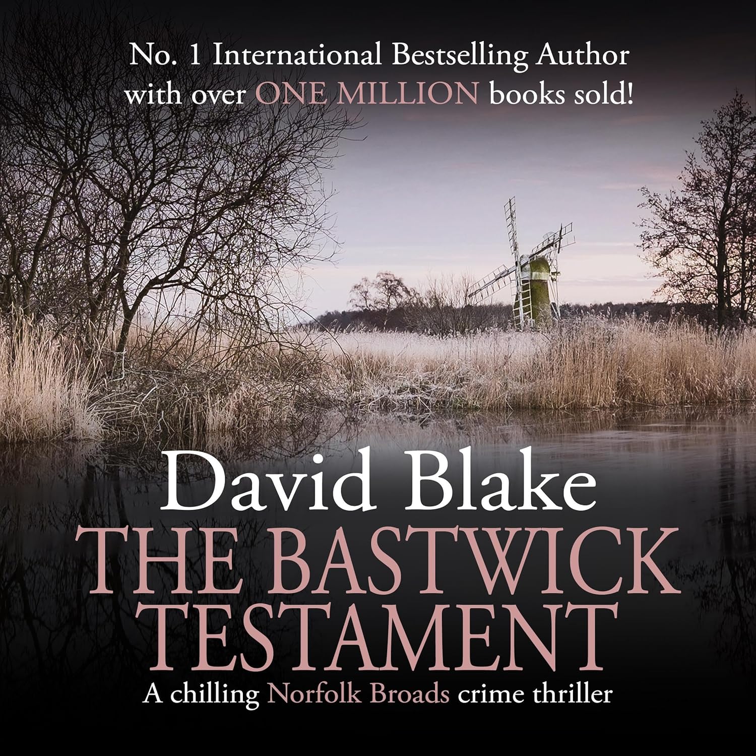 The Bastwick Testament: DI Tanner Norfolk Broads Murder Mystery Series ...