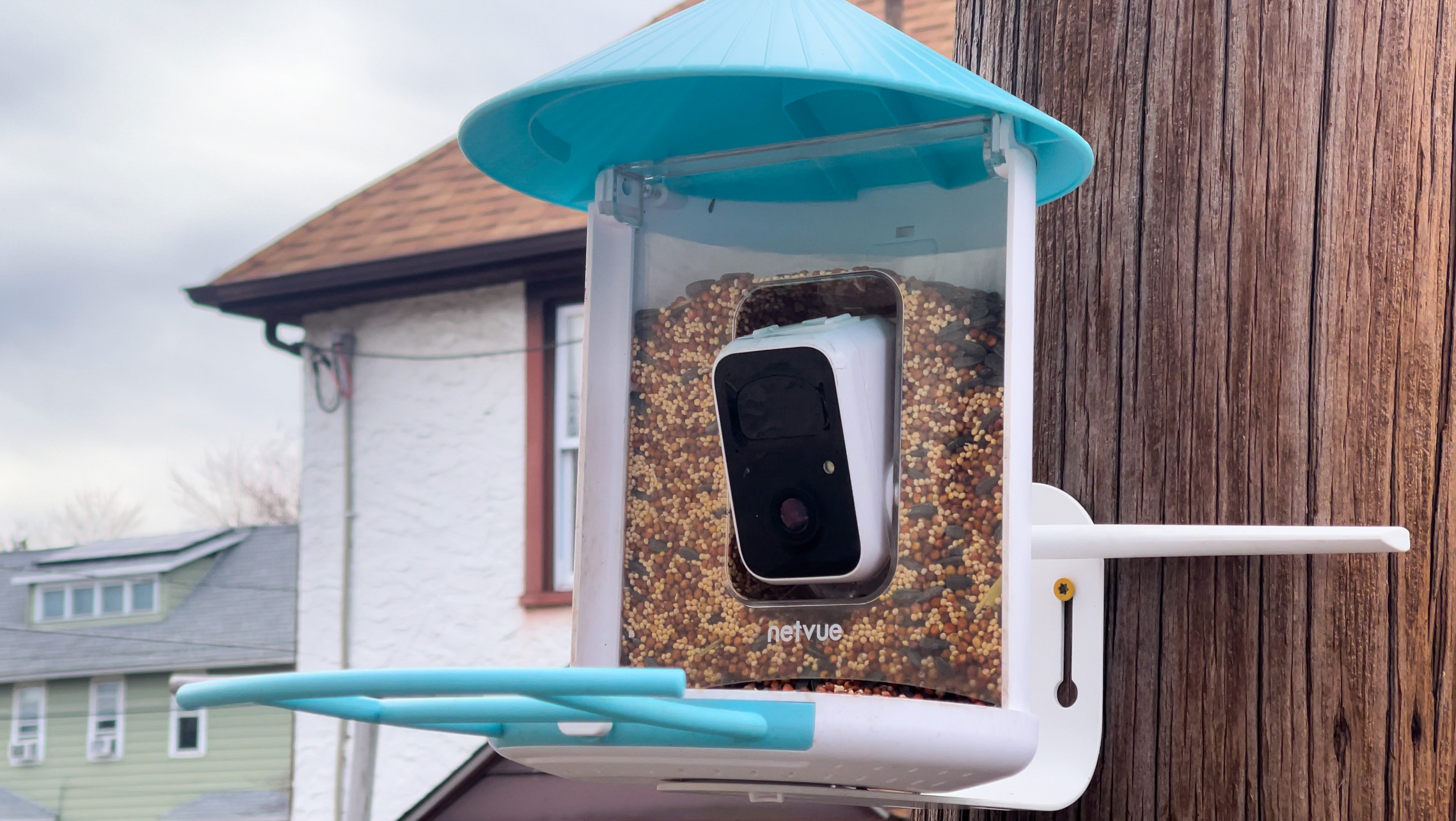 Watch Review - NETVUE Birdfy Lite- Smart Bird Feeder Camera - Watch ...