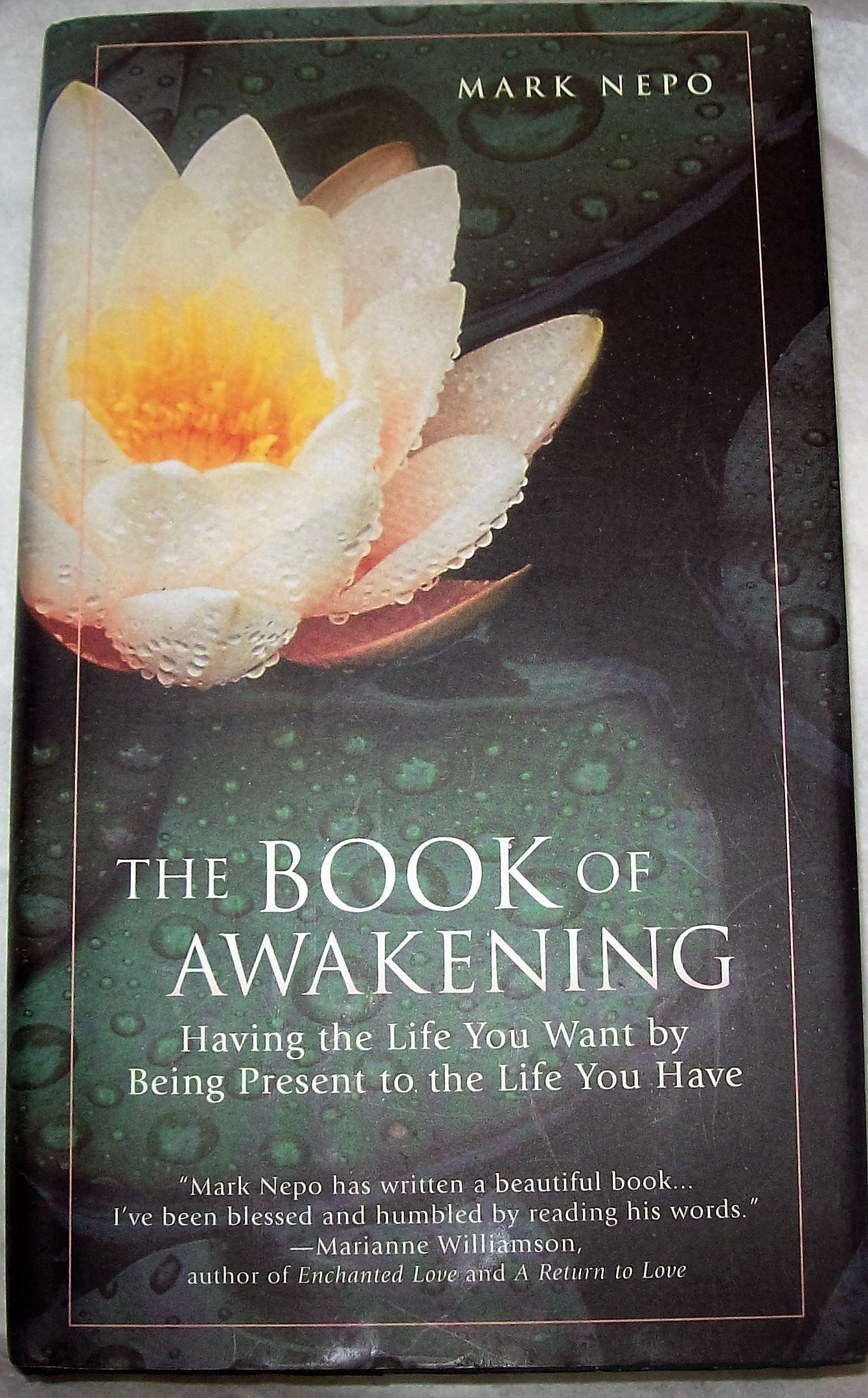 The Book of Awakening: Amazon.co.uk: Editor-Mark Nepo: 9781567314625: Books