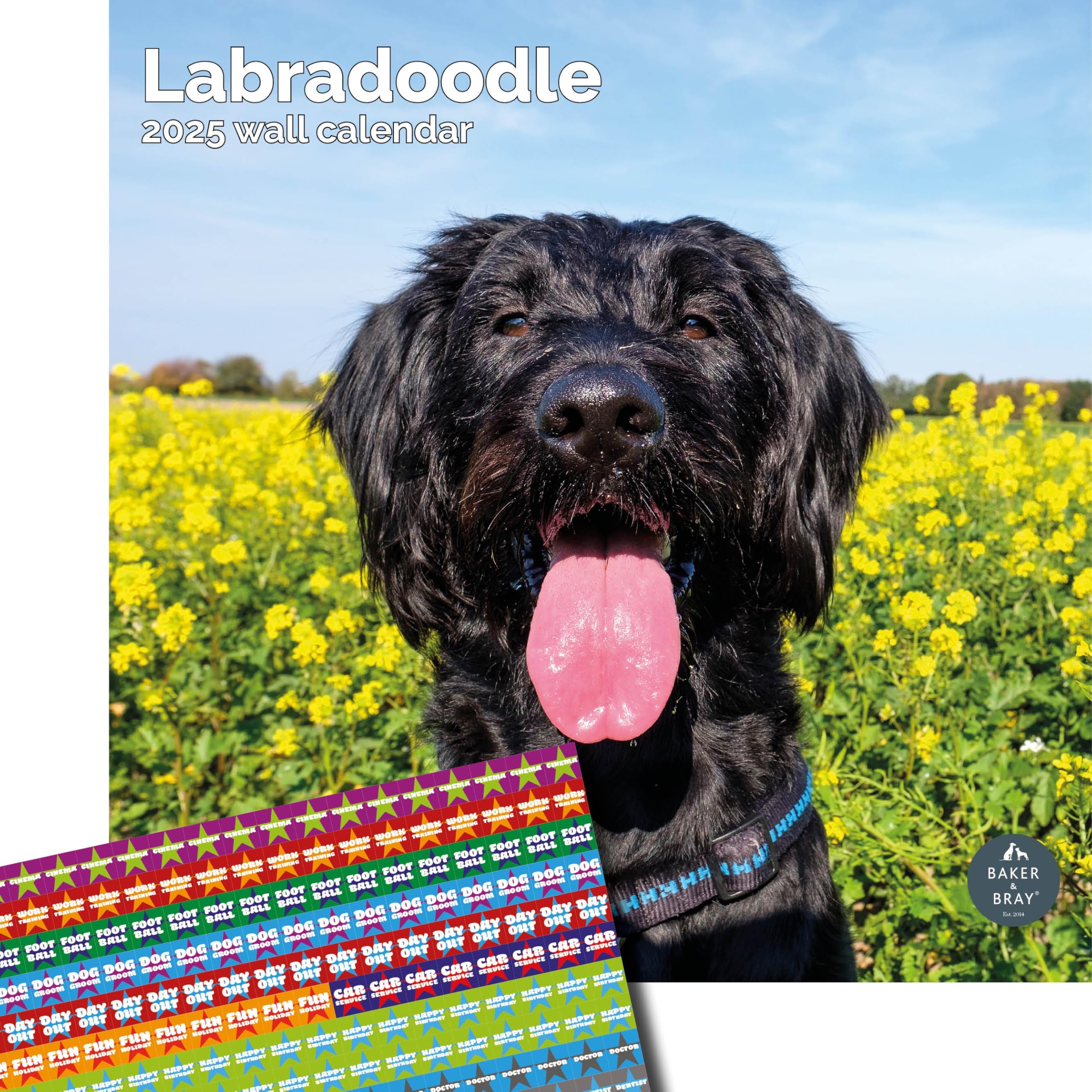 Baker and Bray Labradoodle Calendar 2025, Large Square Wall Calendar ...