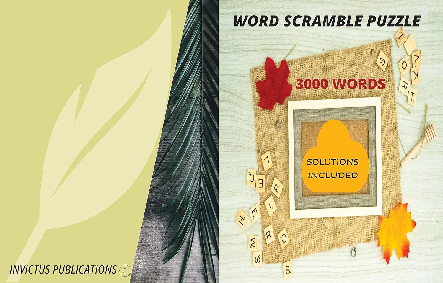 WORD SCRAMBLE PUZZLE: 3000 ANAGRAM FOR KIDS AND ADULTS - Kindle edition ...