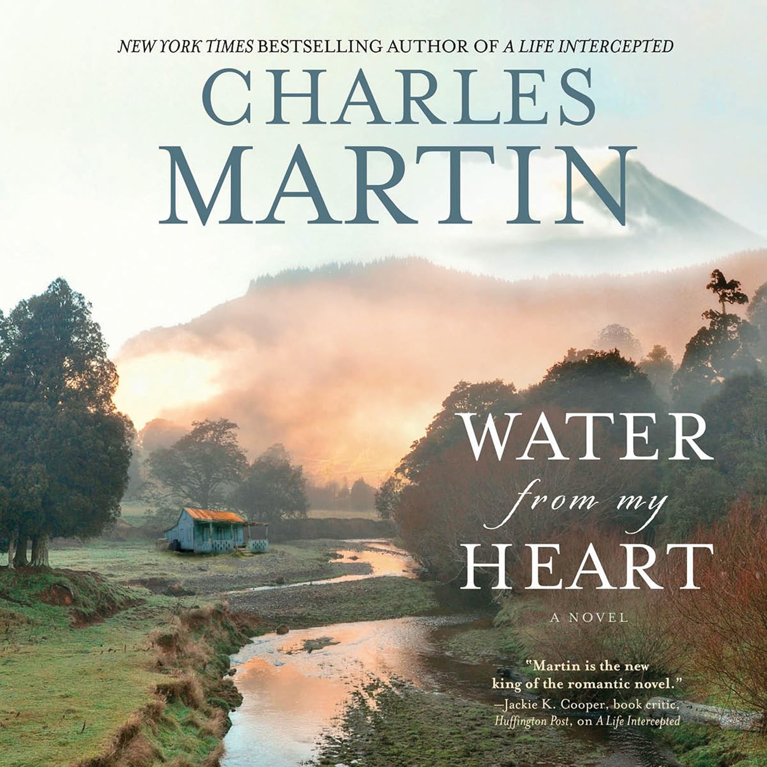 Amazon.com: Water from My Heart: A Novel (Audible Audio Edition ...