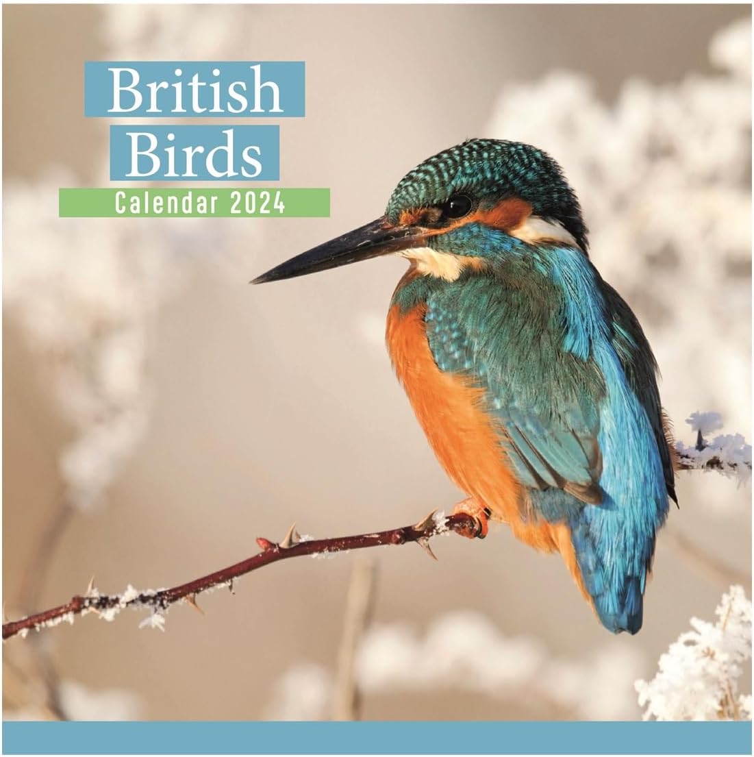 2024 British Wildlife & Birds Month To View Calendar Wall Hanging ...
