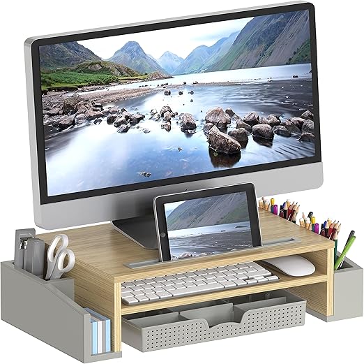 SimpleHouseware Computer Monitor Stand Riser with Desk Organiser and ...