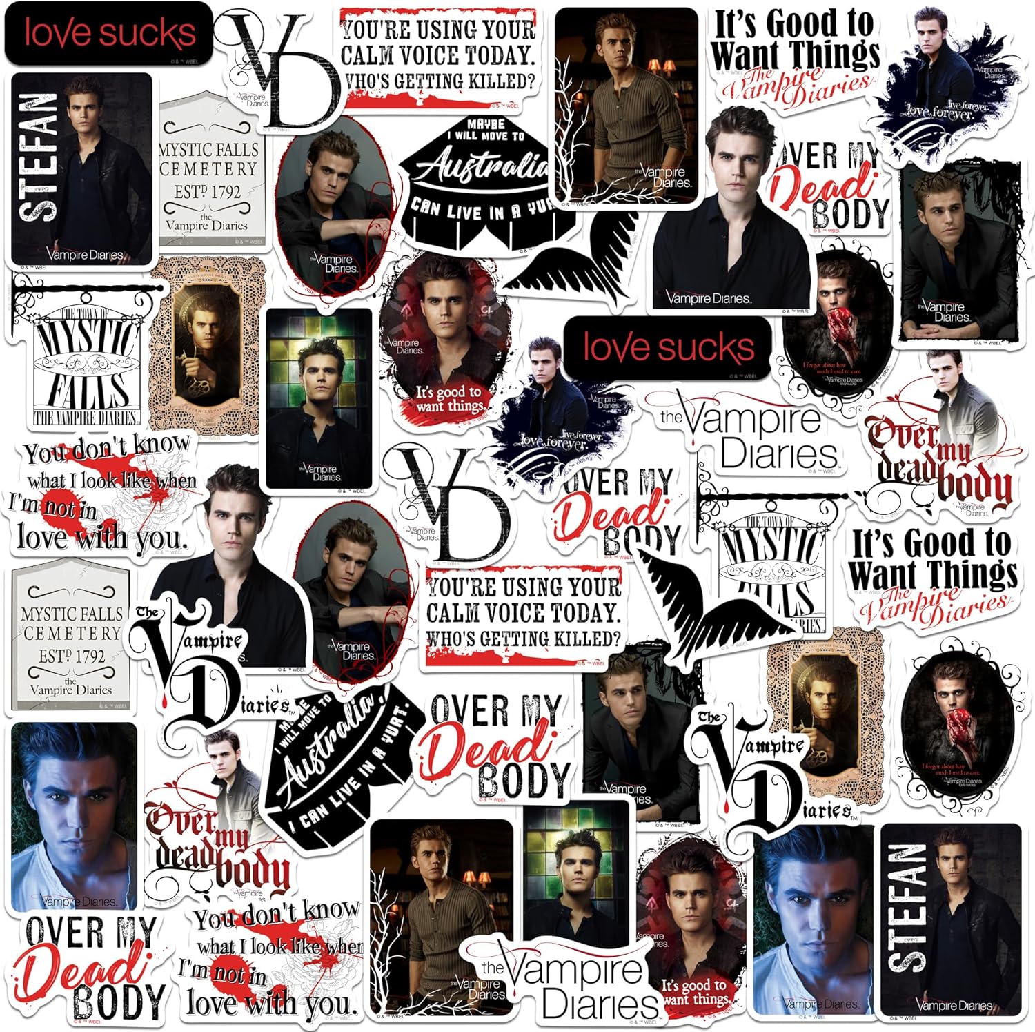 Amazon.com: The Vampire Diaries Stefan 50ct Vinyl Large Deluxe Stickers ...