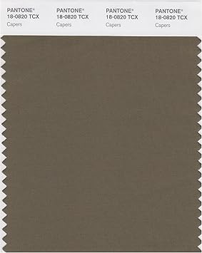 Pantone Smart Farbe Swatch Karte Capers : Amazon.de: Bürobedarf ...