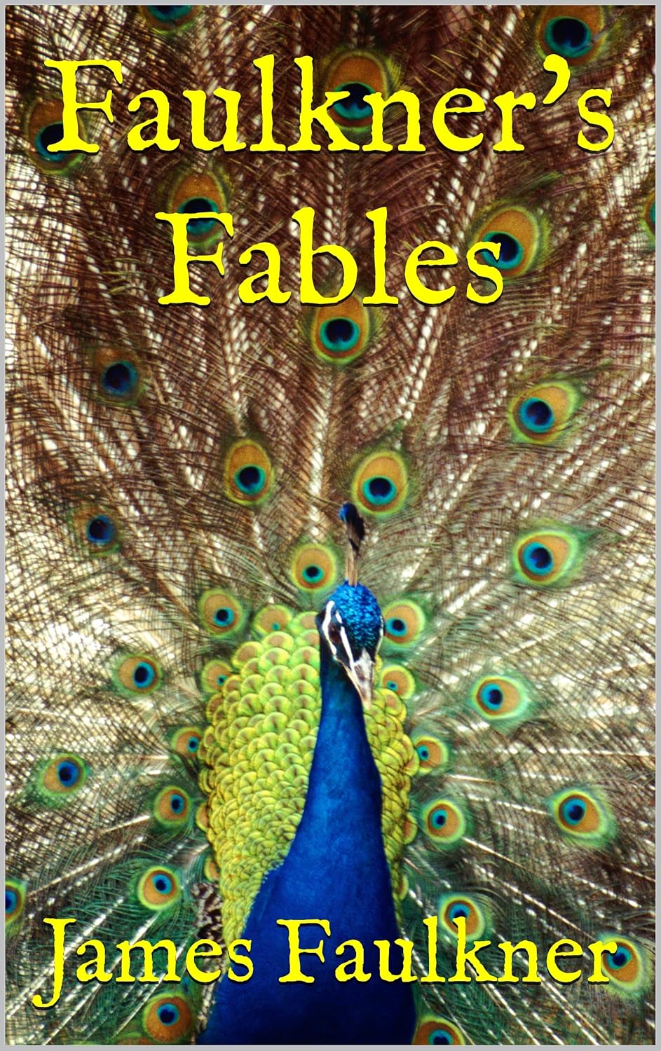 Amazon.com: Faulkner's Fables: Modern Stories With Noble Intent eBook : Faulkner, James: Kindle ...