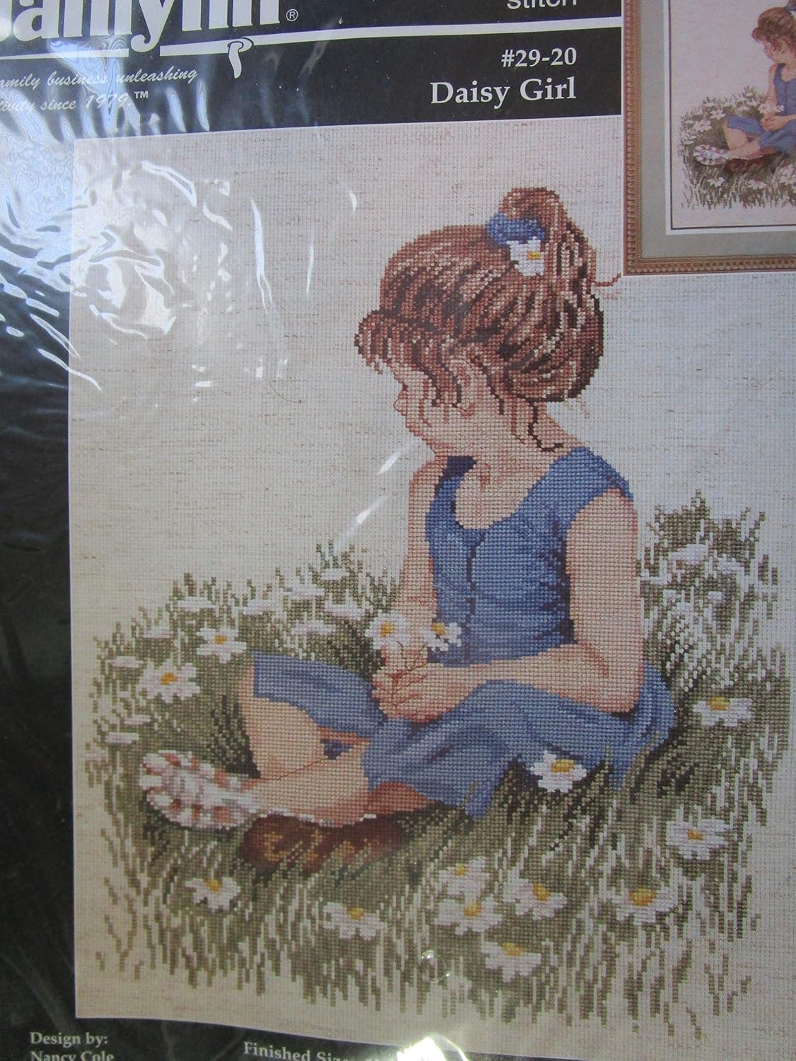 Amazon.com: Janlynn Counted Cross Stitch Kit Daisy Girl : Arts, Crafts ...