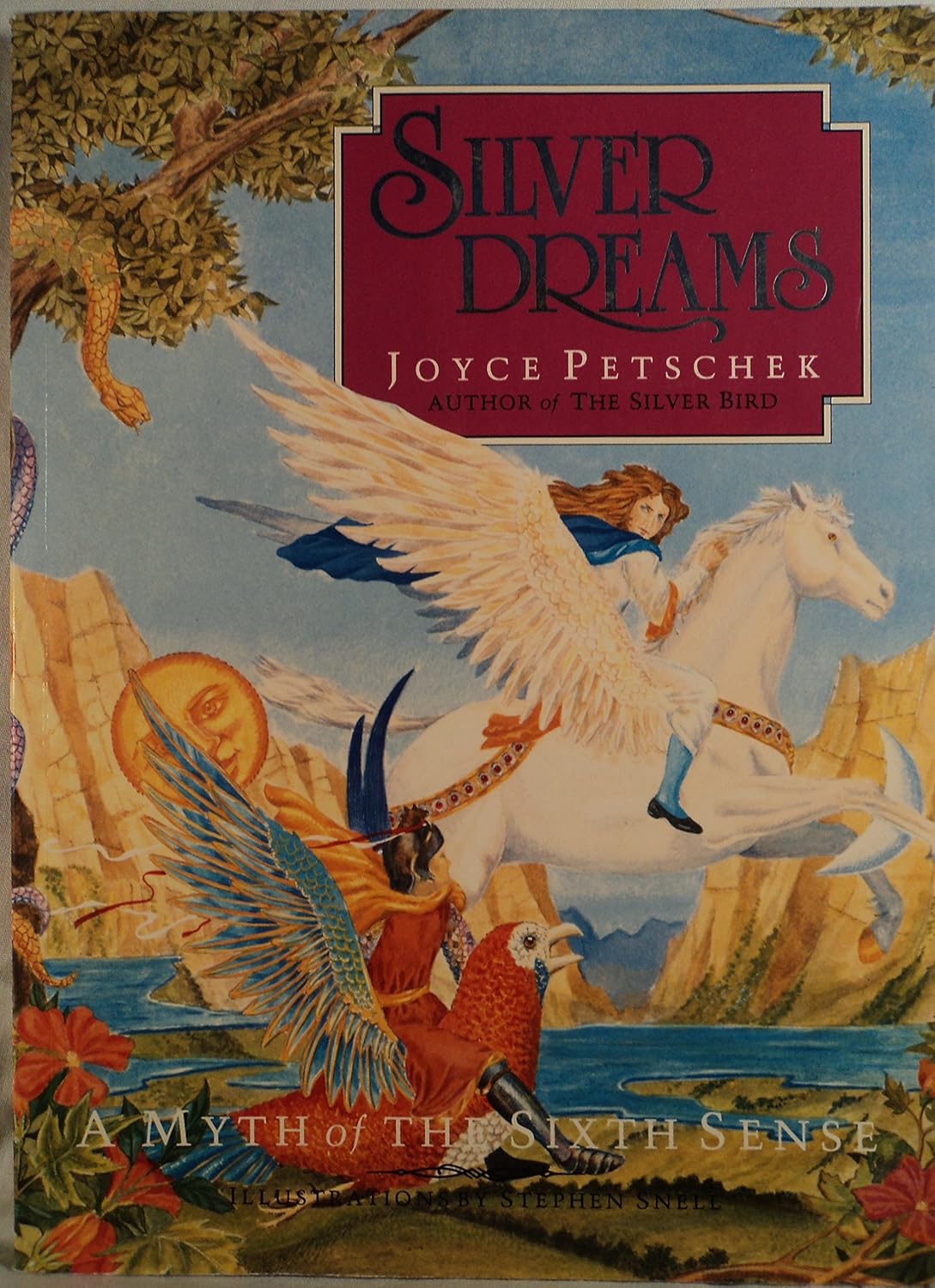 Amazon | Silver Dreams: A Myth of the Sixth Sense | Petschek, Joyce ...