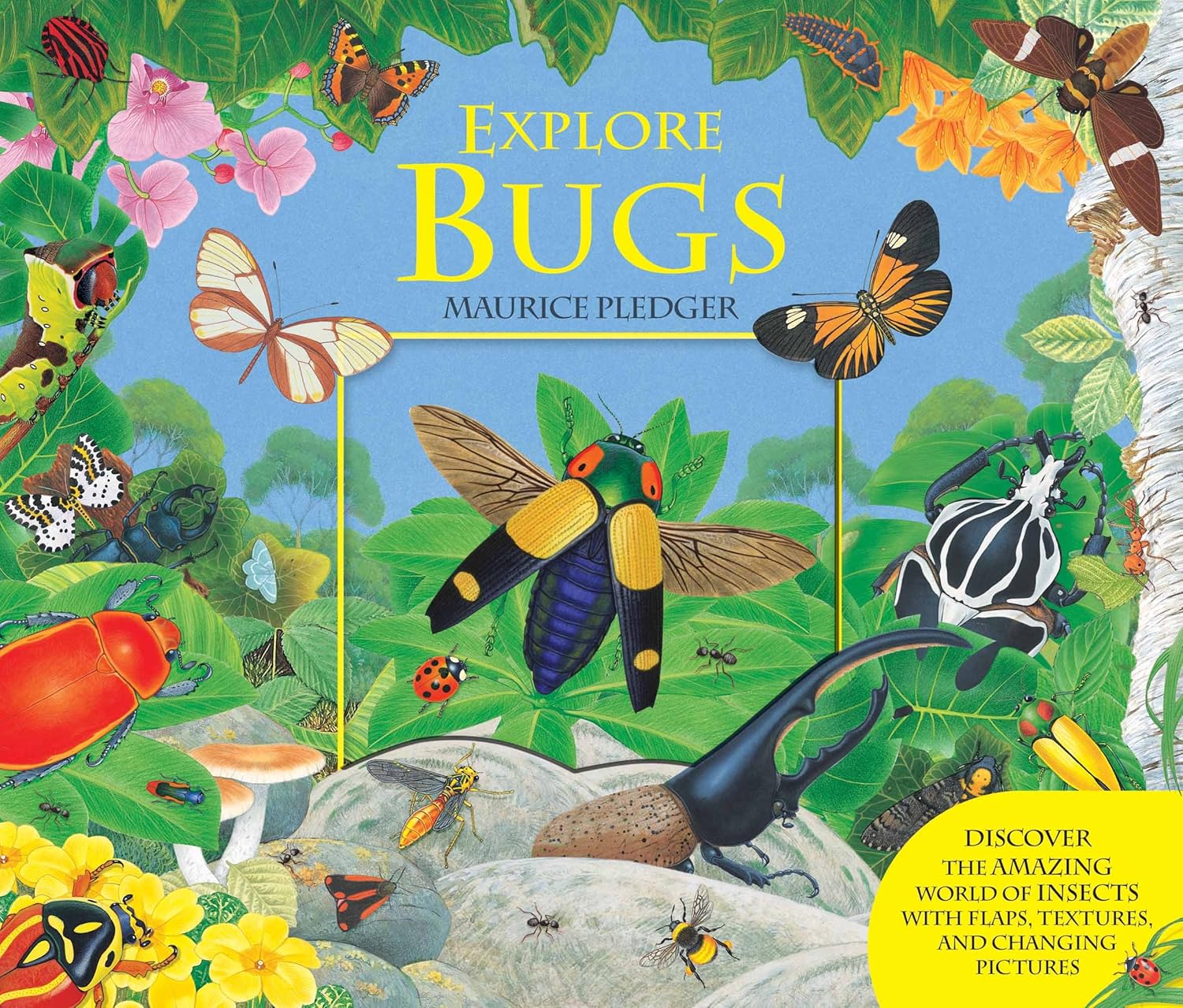 Explore Bugs: Maurice Pledger: 9781848773721: Amazon.com: Books
