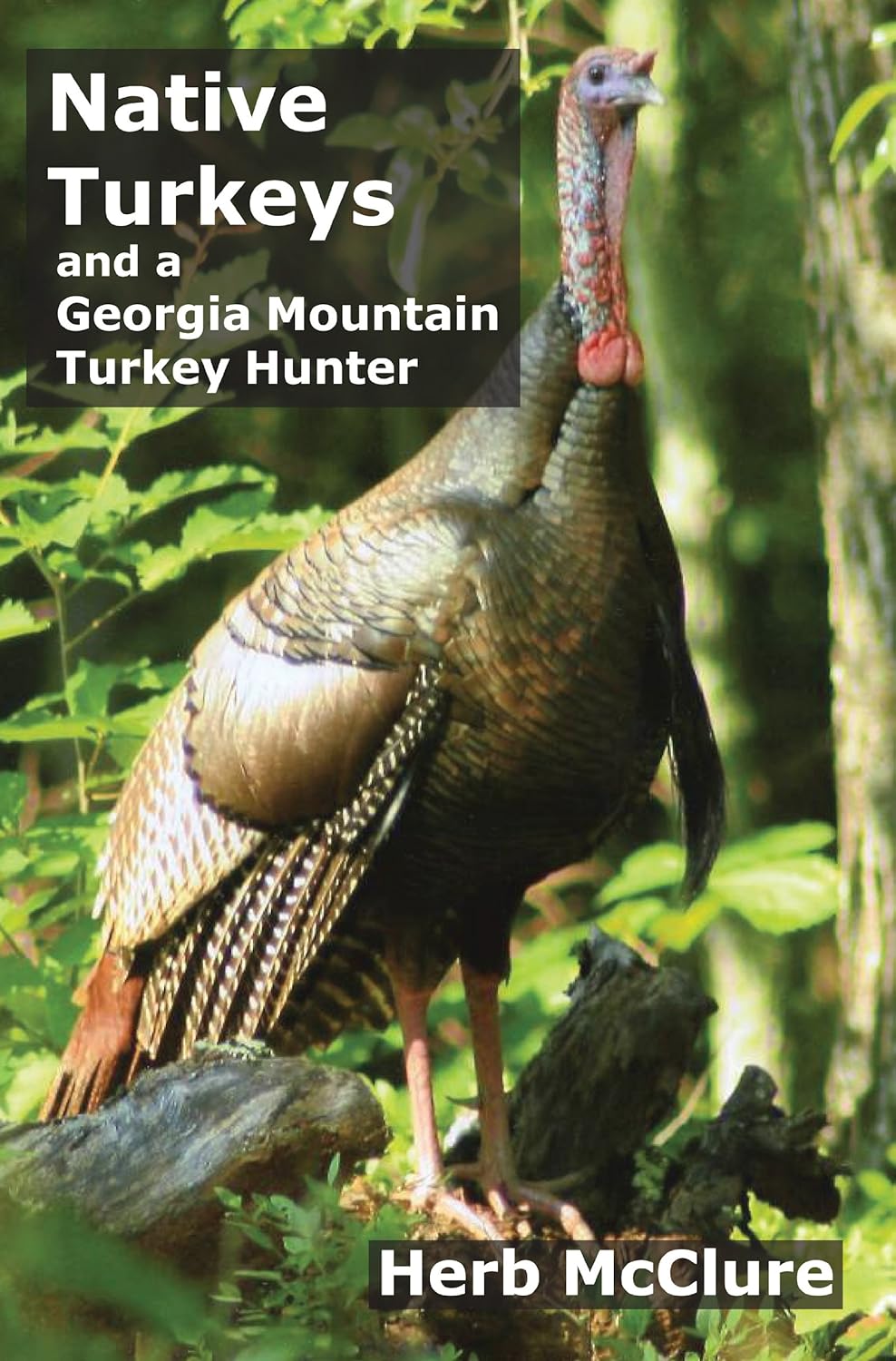 Native Turkeys and a Georgia Mountain Turkey Hunter: Herb McClure ...