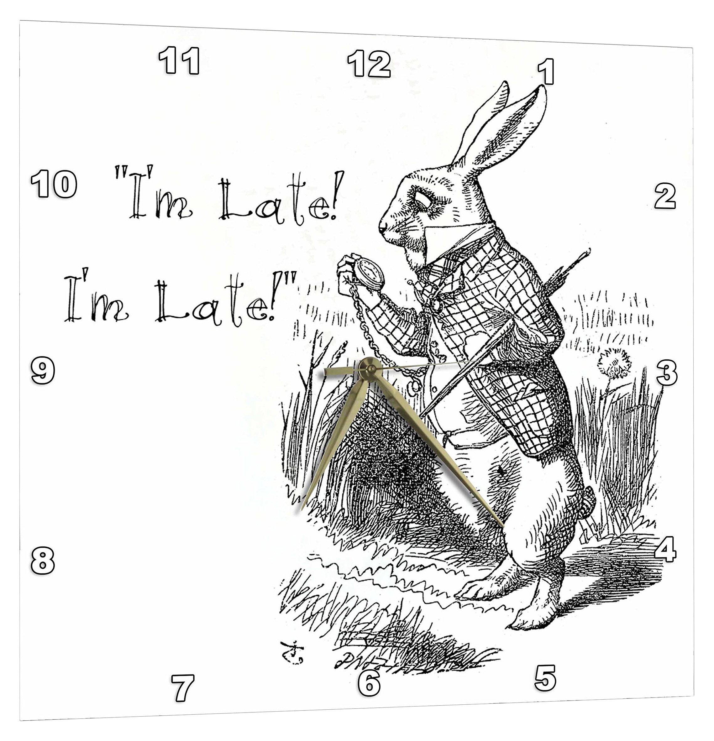 Alice In Wonderland Rabbit Clock Drawings