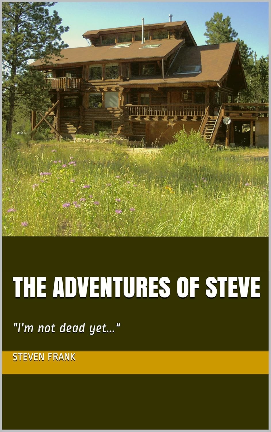 Amazon.com: The Adventures of Steve eBook : Frank, Steven: Kindle Store