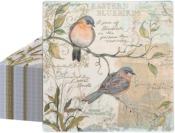 Amazon.com: AnyDesign 80 Pack Bird Luncheon Napkins Disposable Vintage ...