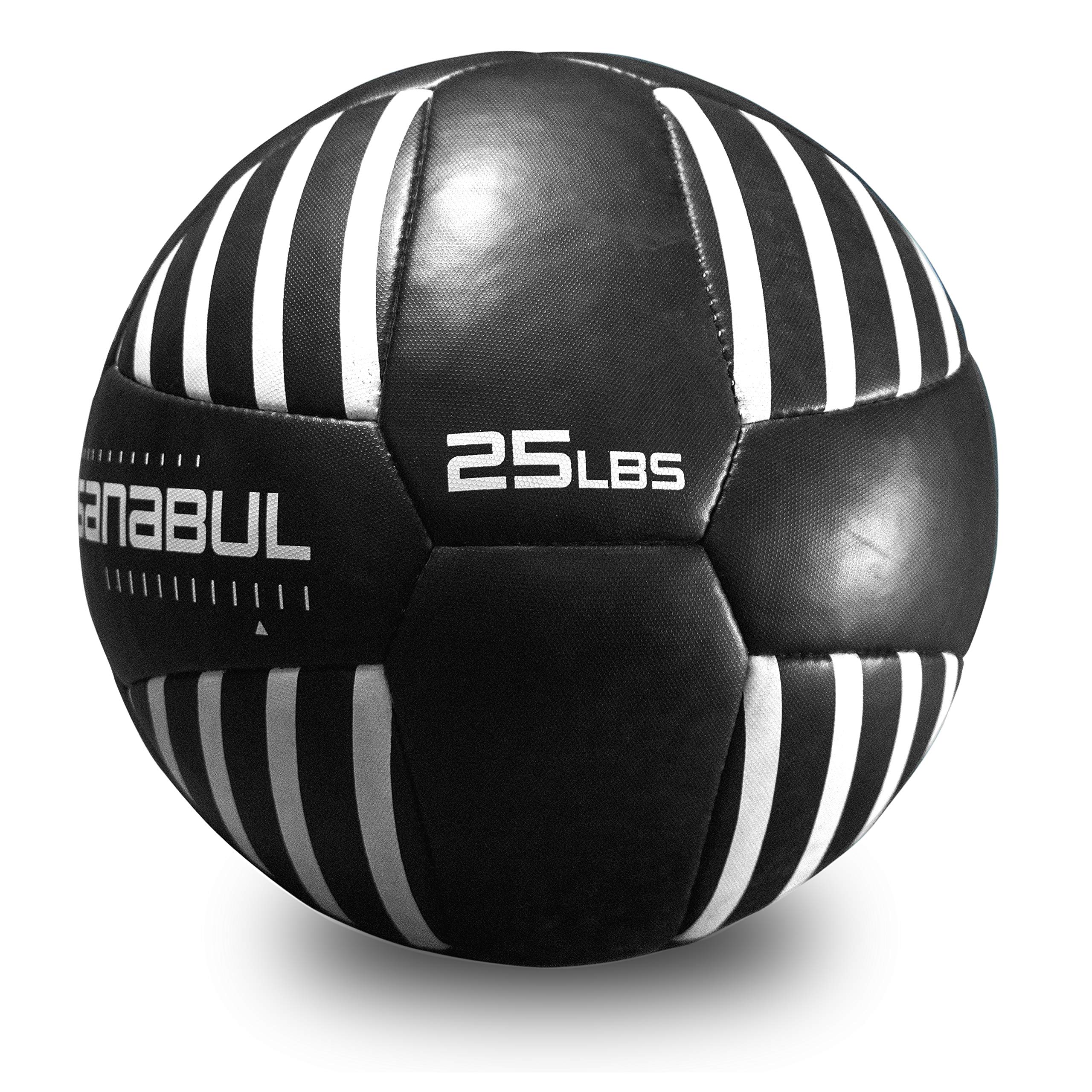 Snapklik.com : Sanabul Lab Series 14-inch Medicine Ball For Exercise ...