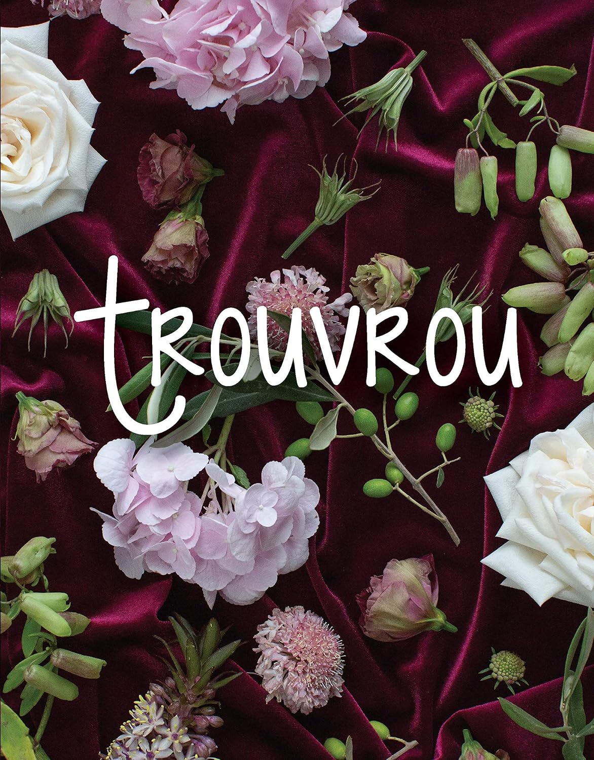 Trouvrou (Afrikaans Edition) eBook : Strauss, Sylvia : Amazon.in ...