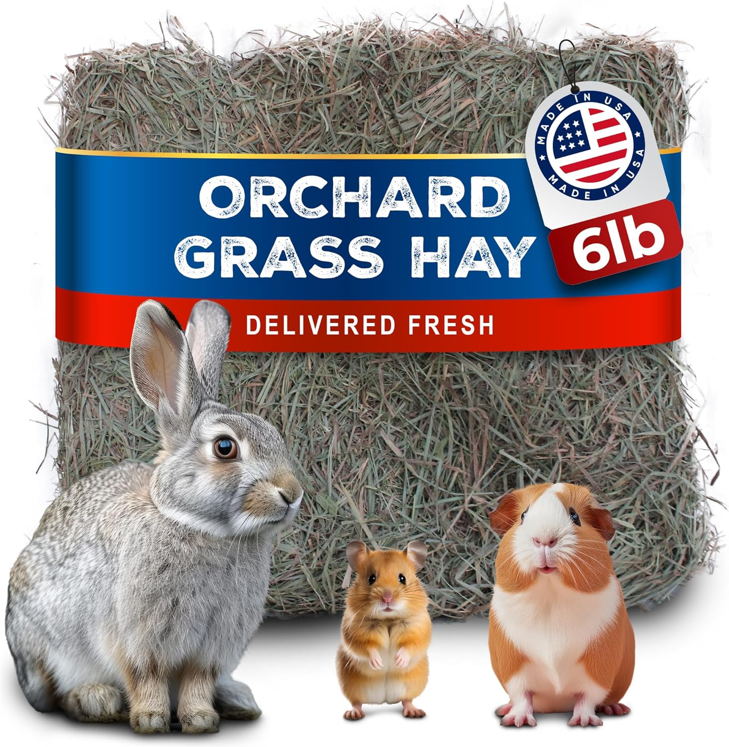 Amazon.com : Gold Buckle Co Premium Orchard Grass Hay for Rabbits ...