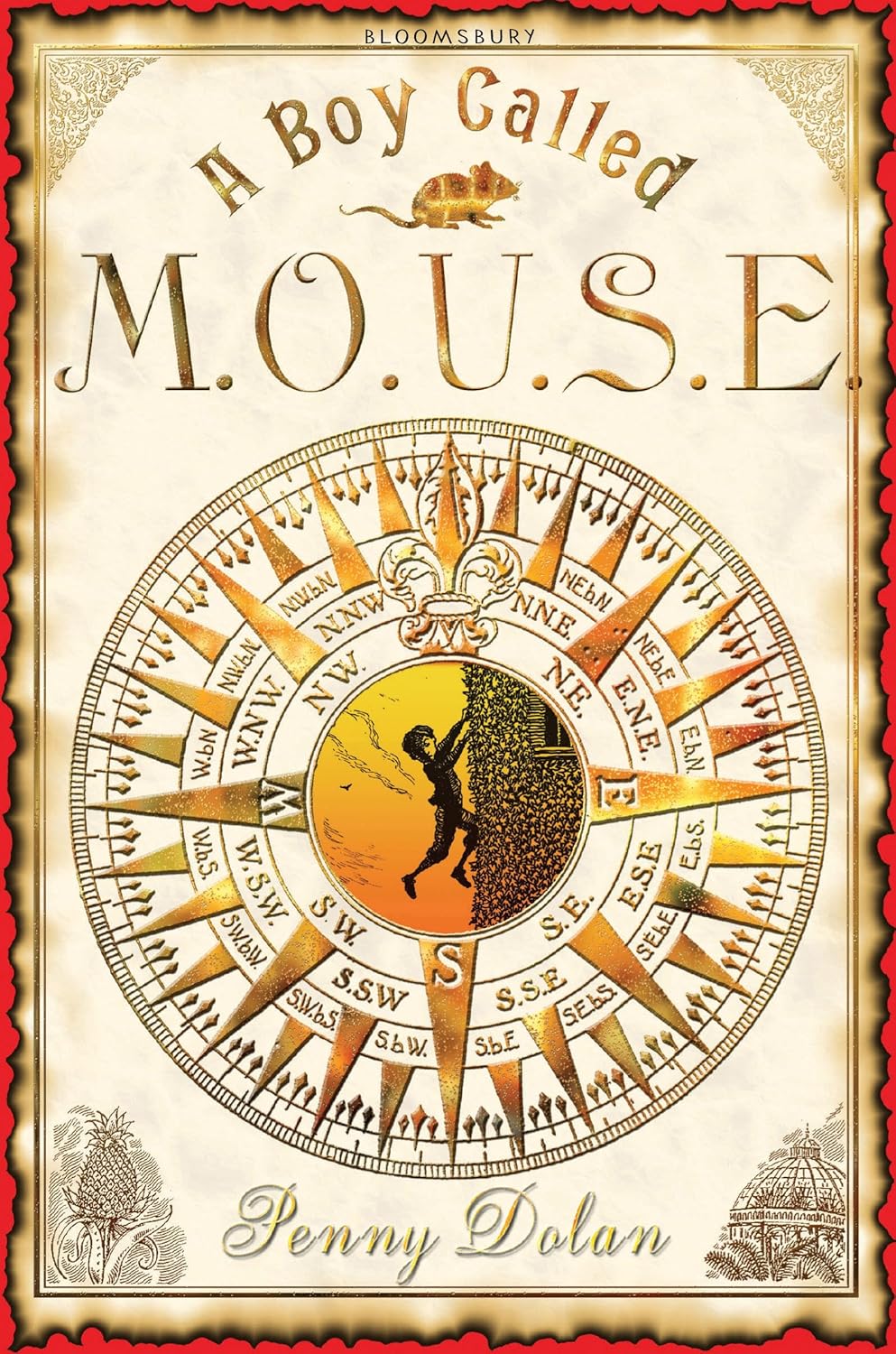 A Boy Called MOUSE: Amazon.co.uk: Dolan, Penny: 9781408801383: Books