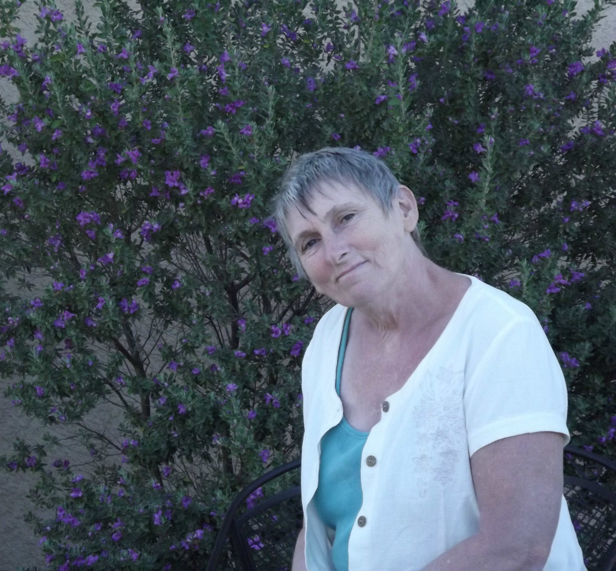 Amazon.co.uk: Cynthia Perkins: books, biography, latest update