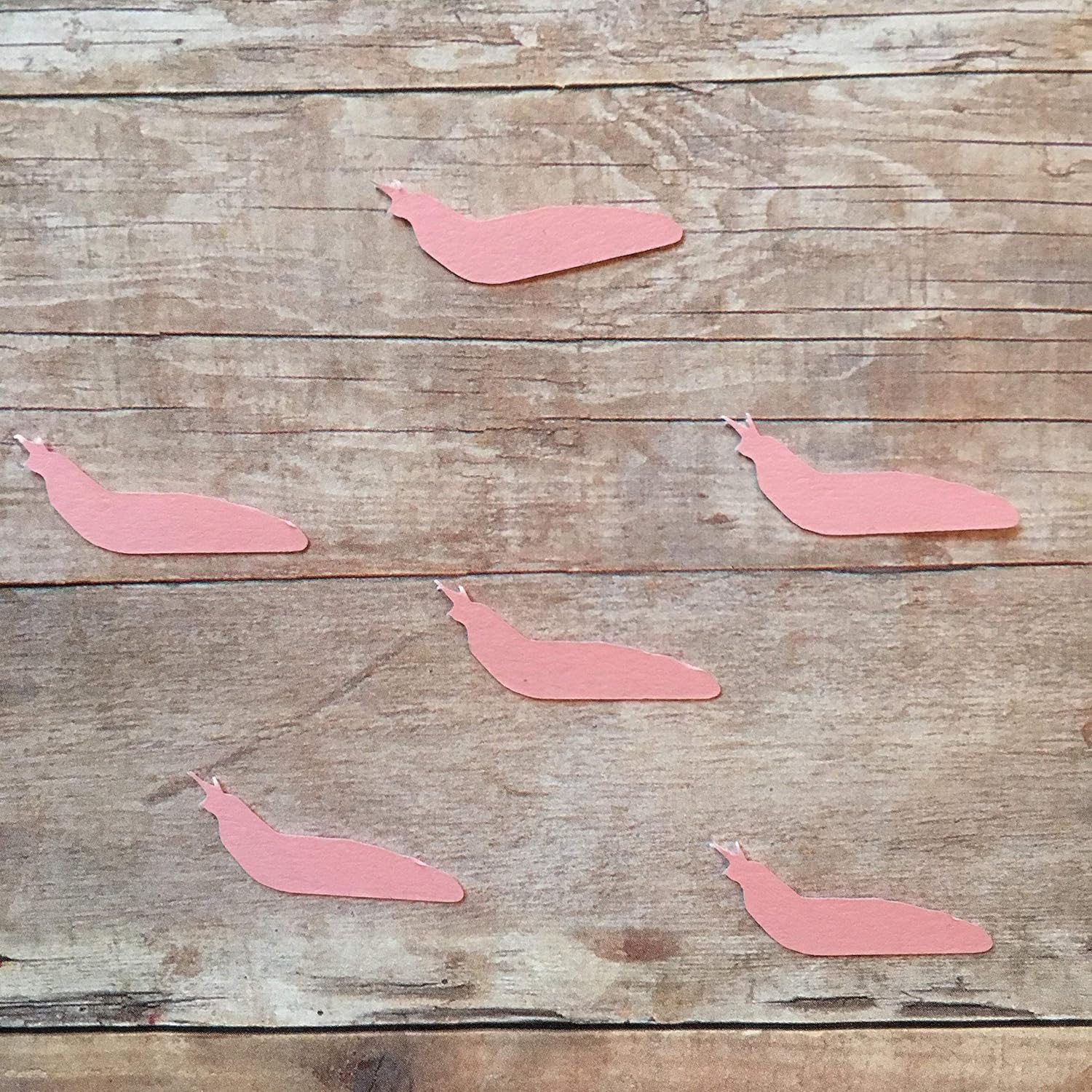 Amazon.com: Slug Confetti, Animal Decorations, Garden Party Supplies ...