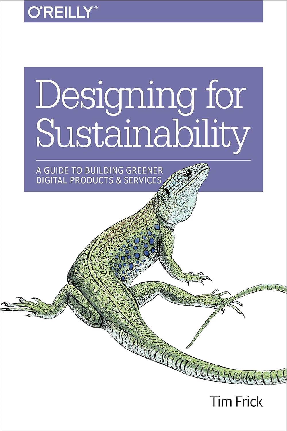 Designing for Sustainability: A Guide to Building Greener Digital ...
