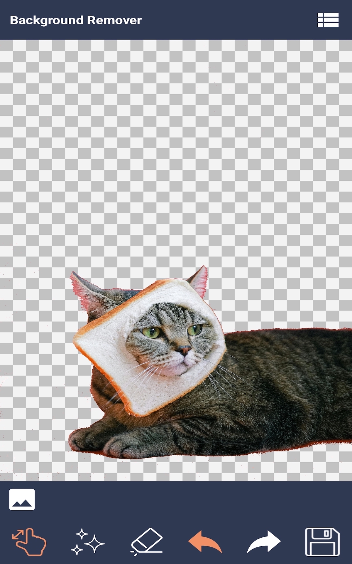 Background Remover - App on Amazon Appstore