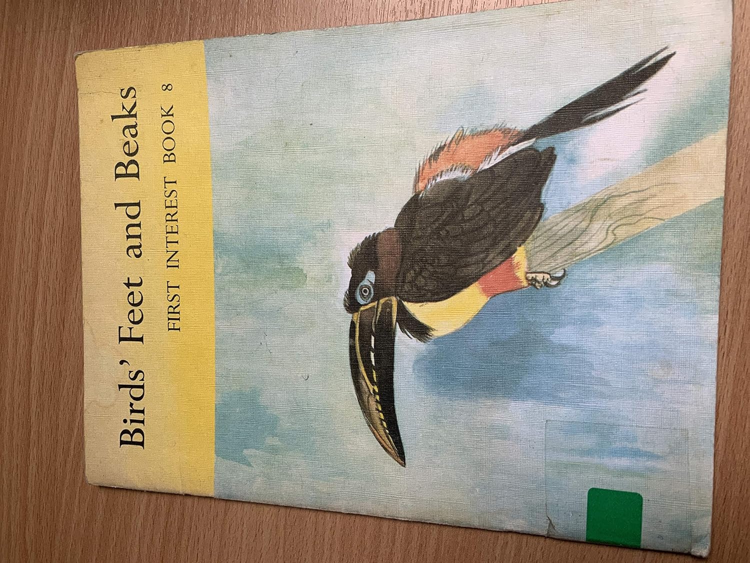 Birds' Feet and Beaks (First Interest S.): Amazon.co.uk: Bevington, J.D ...