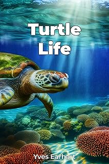 Turtles' Lifespan: How Long Do They Live? | PetShun
