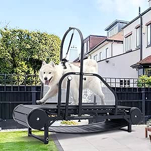 Amazon.com: Dog Treadmill for Large/Medium Dogs, Adjustable Ramp Canine ...