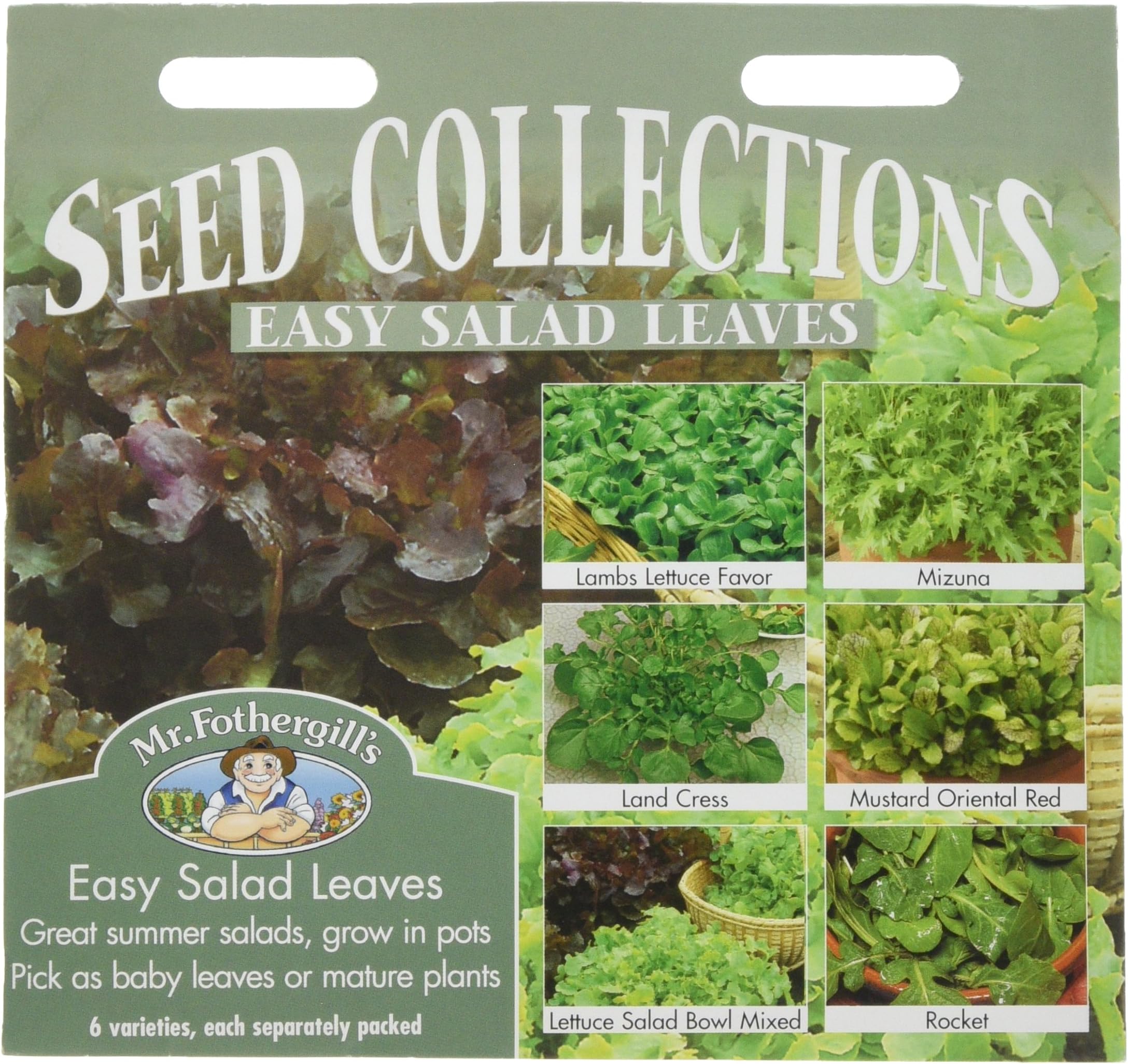 Mr Fothergill's Vegetable Seeds, Climbing French Bean Python, Green, 0. ...