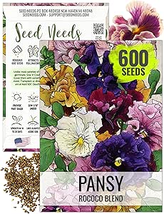 Amazon.com : Seed Needs, Rococo Pansy Seeds - 600 Heirloom Seeds for ...