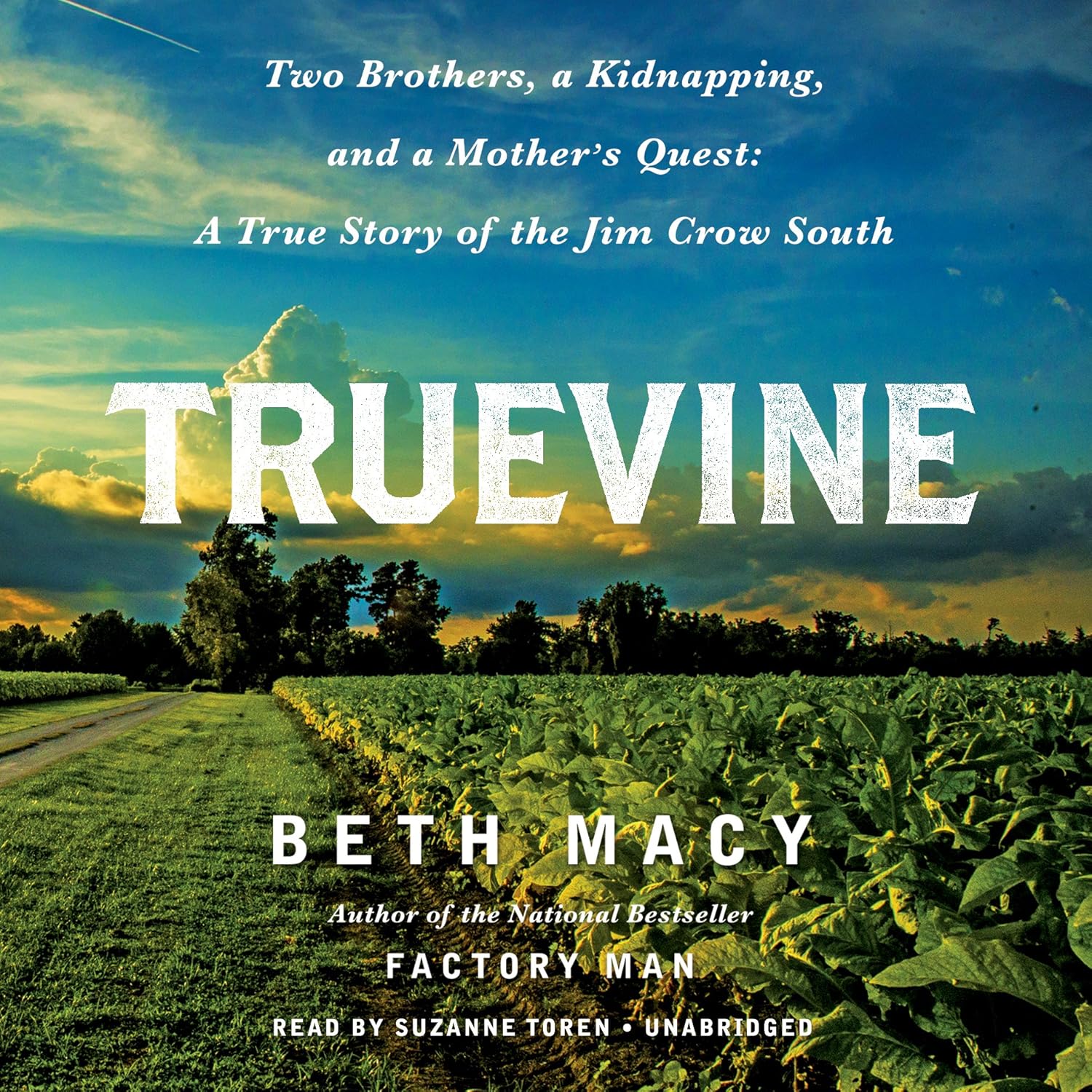 Truevine: Two Brothers, a Kidnapping, and a Mother's Quest; a True ...