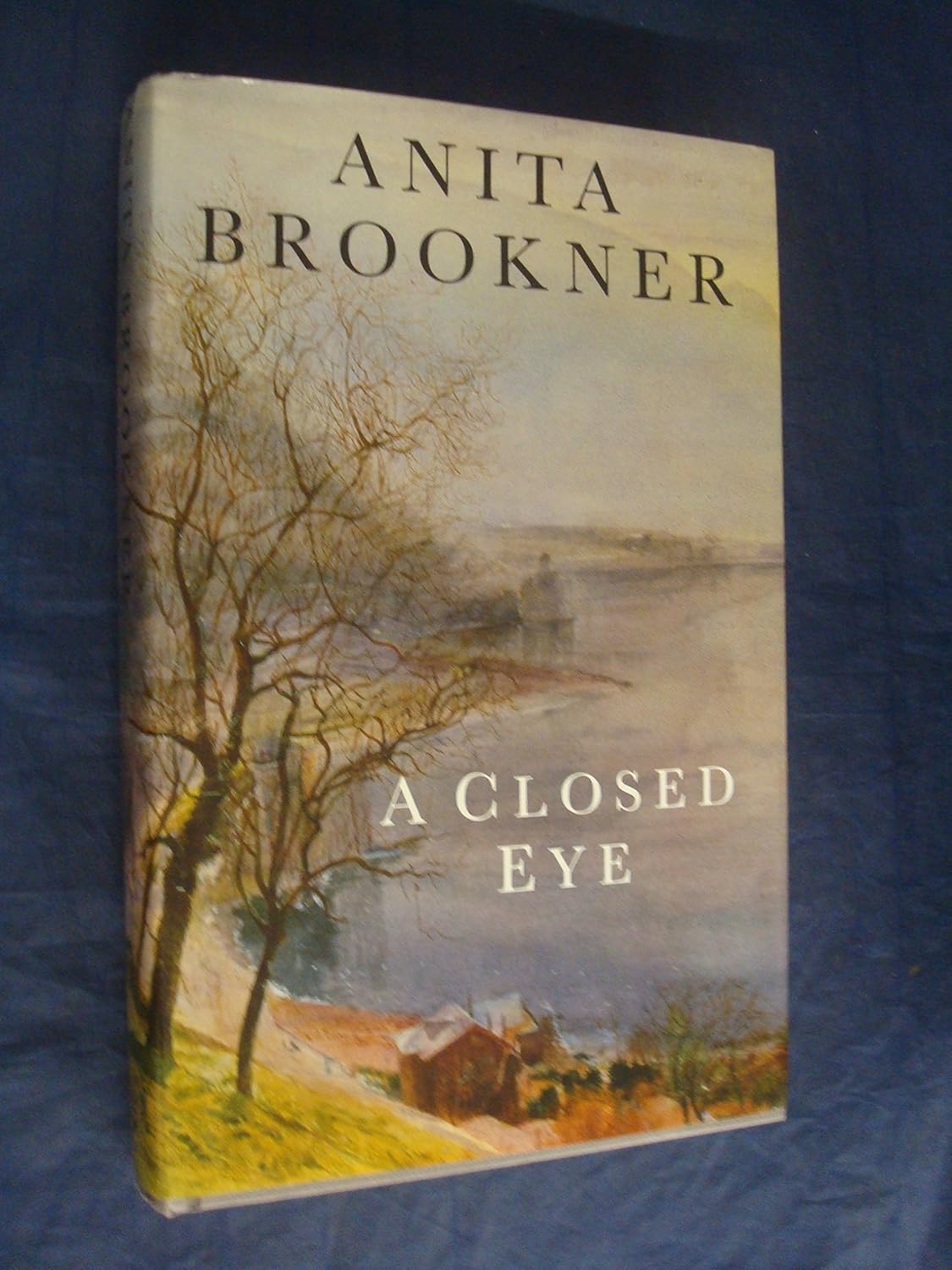 A Closed Eye: Amazon.co.uk: Brookner, Anita: 9780224030908: Books