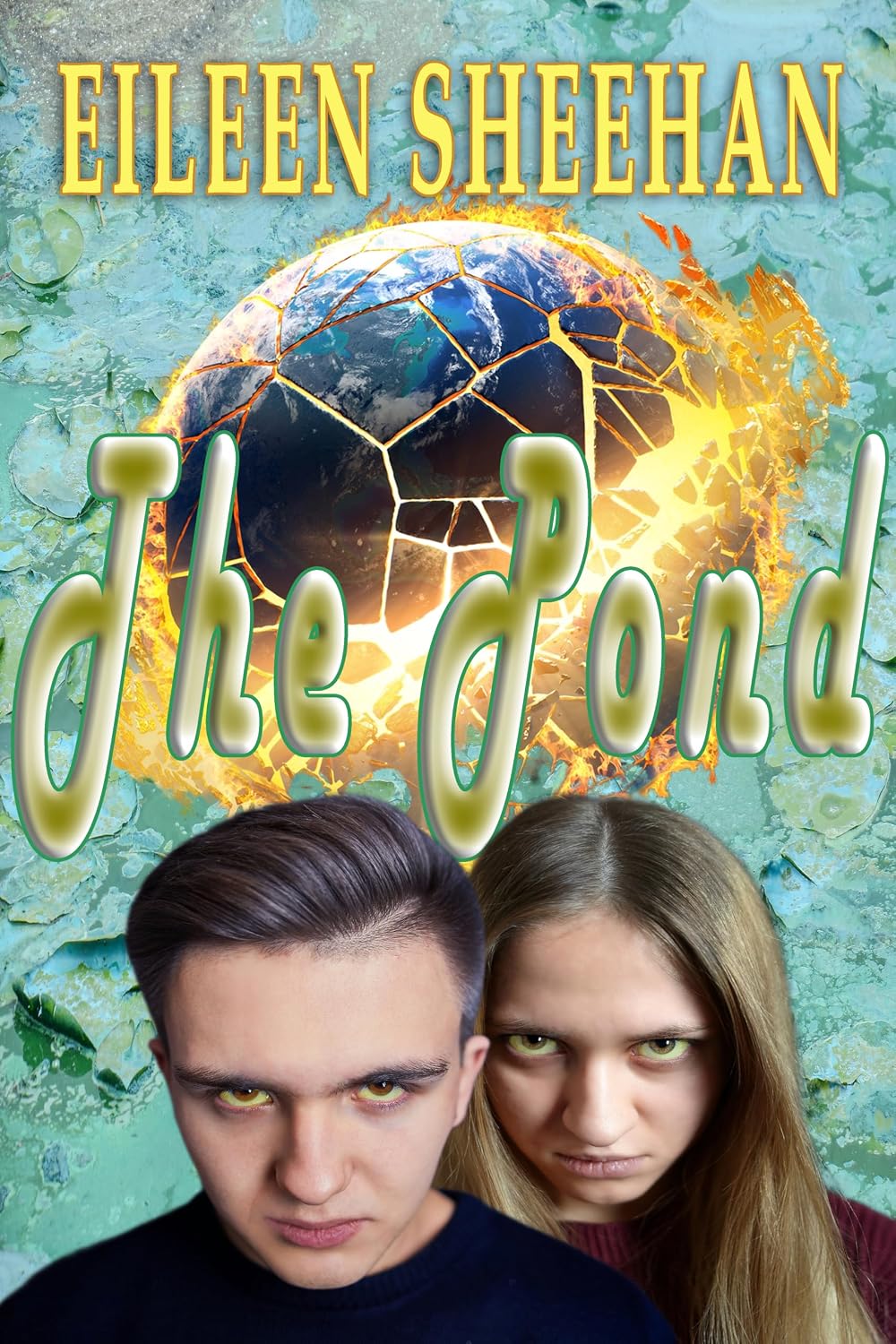 Amazon.com: The Pond eBook : Sheehan, Eileen: Kindle Store
