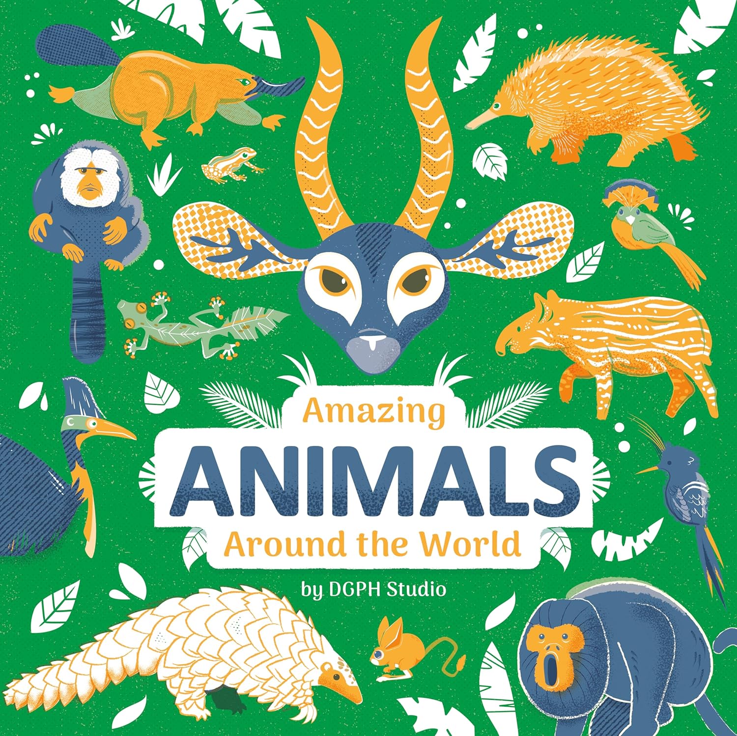 Amazing Animals Around the World: DGPH Stufio: 9780593522318: Amazon ...