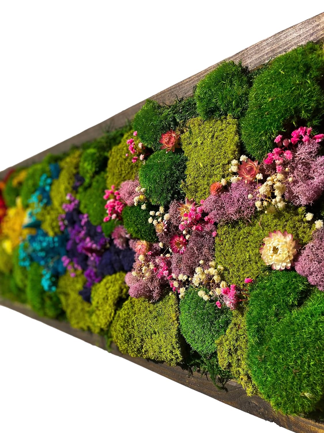 Amazon.com: Living Moss Wall Art, Indoor Green Walls, Ideal for Work ...