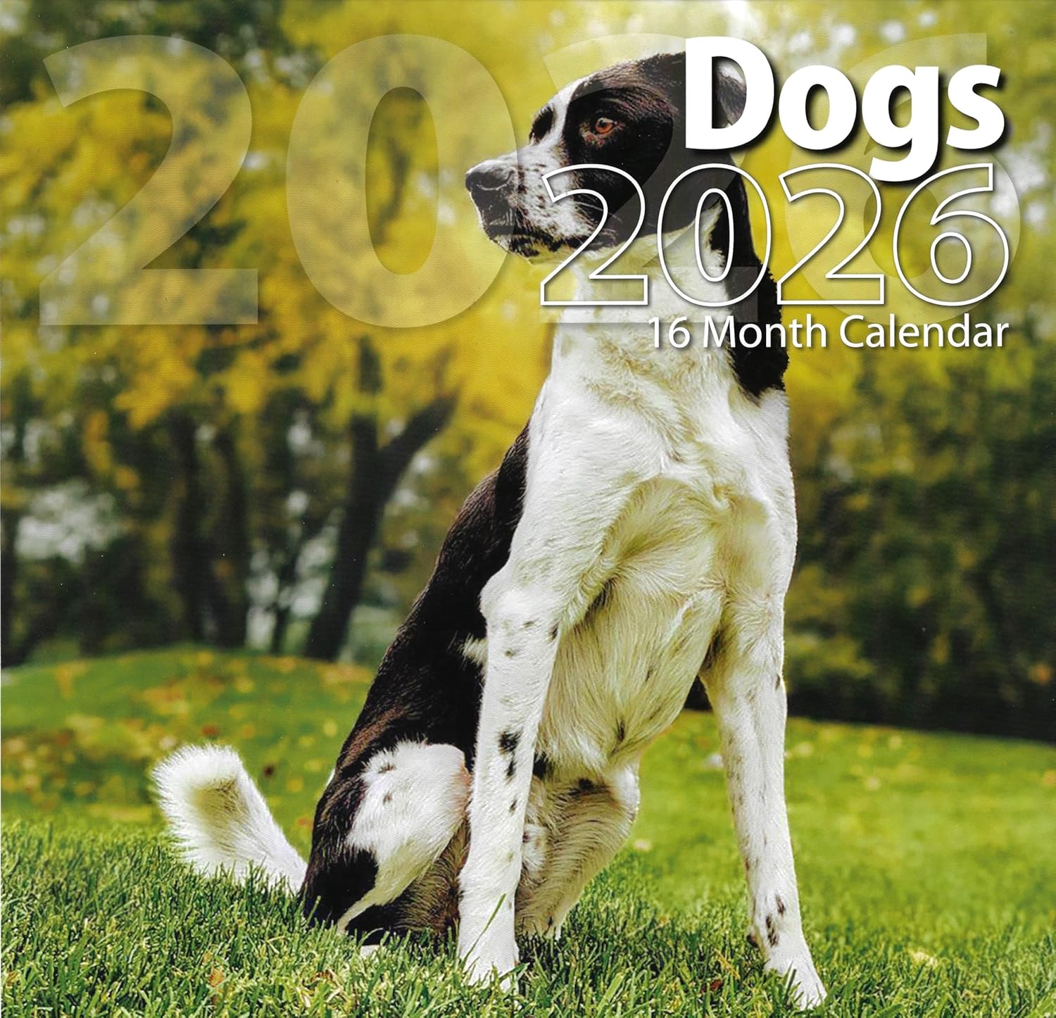 2026 Dogs Full Size Wall Calendar for Planning, Scheduling, and Organizing