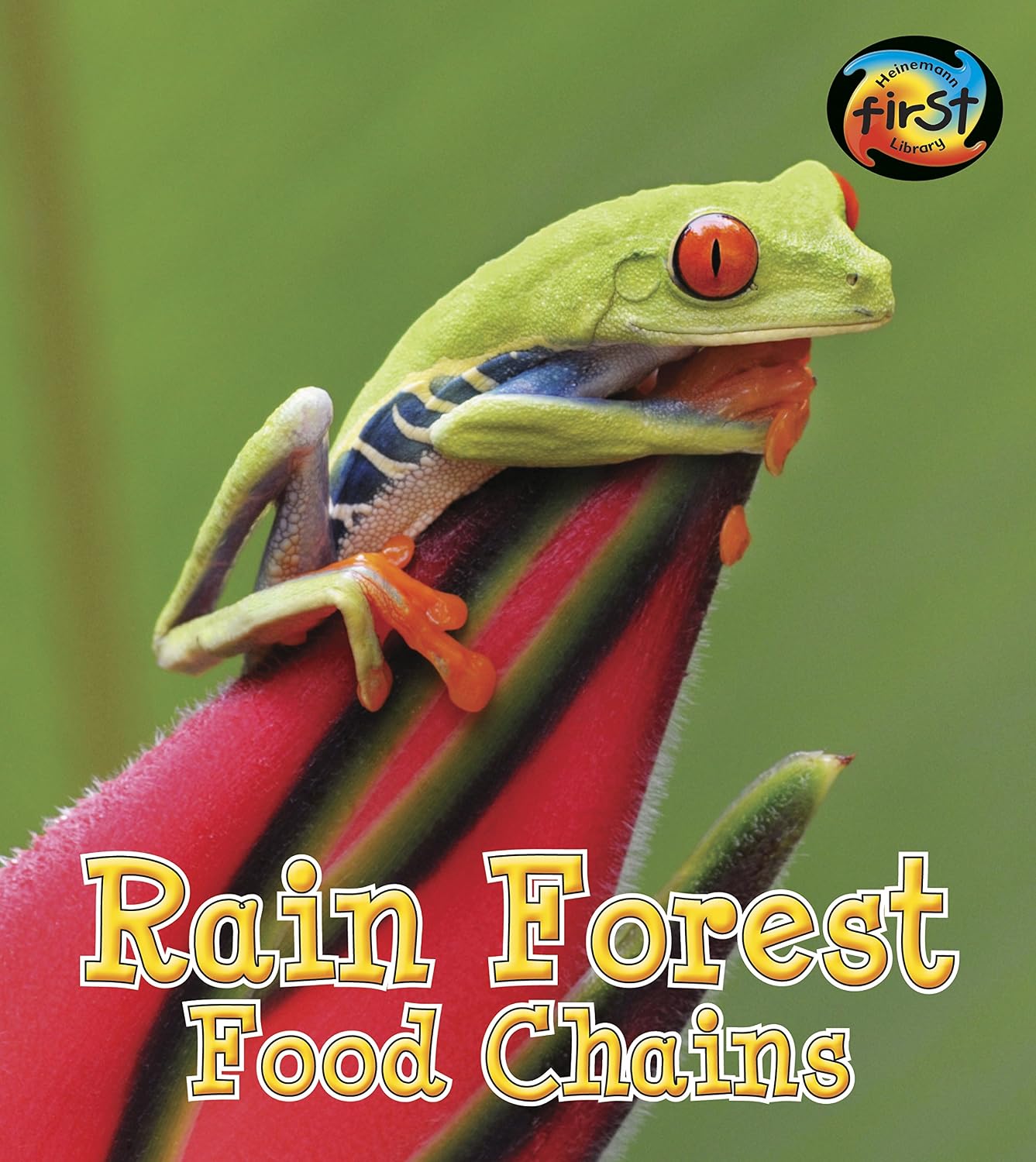 Rain Forest Food Chains (Heinemann First Library: Food Chains and Webs ...