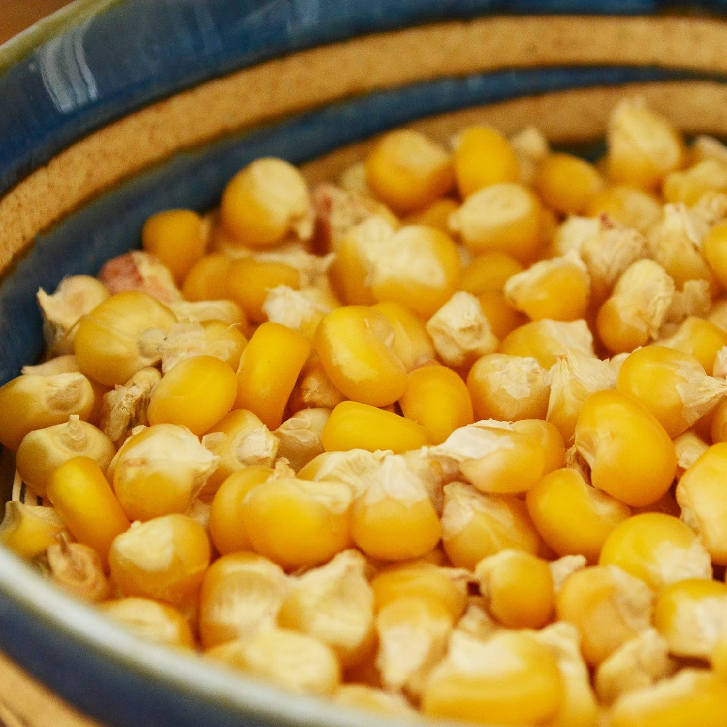 Amazon.com : Gehu Corn - 50 Seeds - Heirloom & Open-Pollinated Variety ...