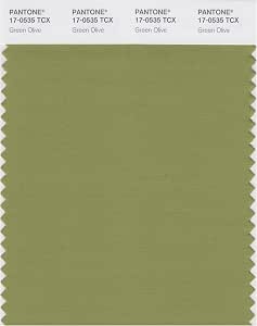 PANTONE Smart 17-0535X Color Swatch Card, Green Olive - House Paint ...