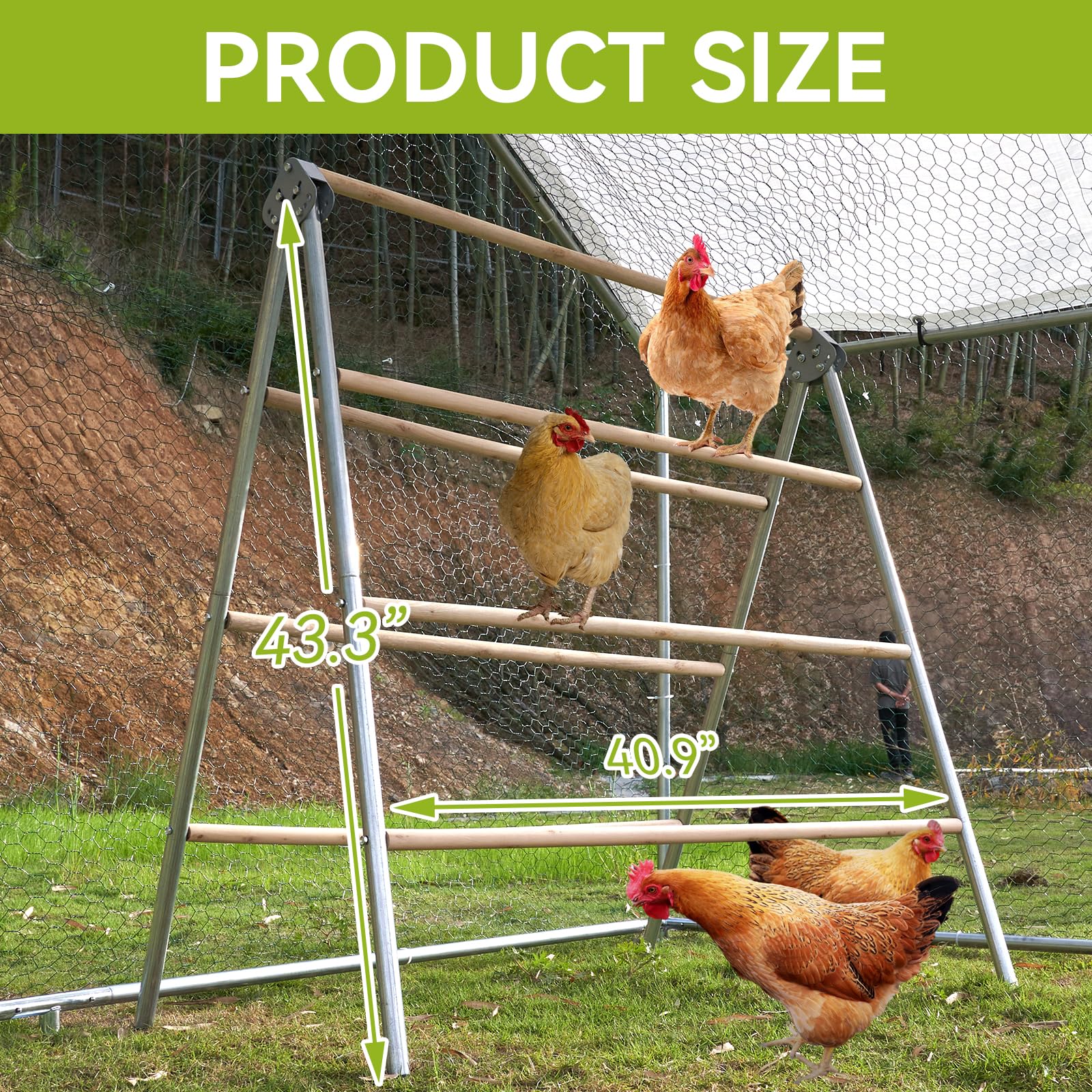 Postes De Percha Para Gallinas Juego De 4 Perchas Para Pollos,