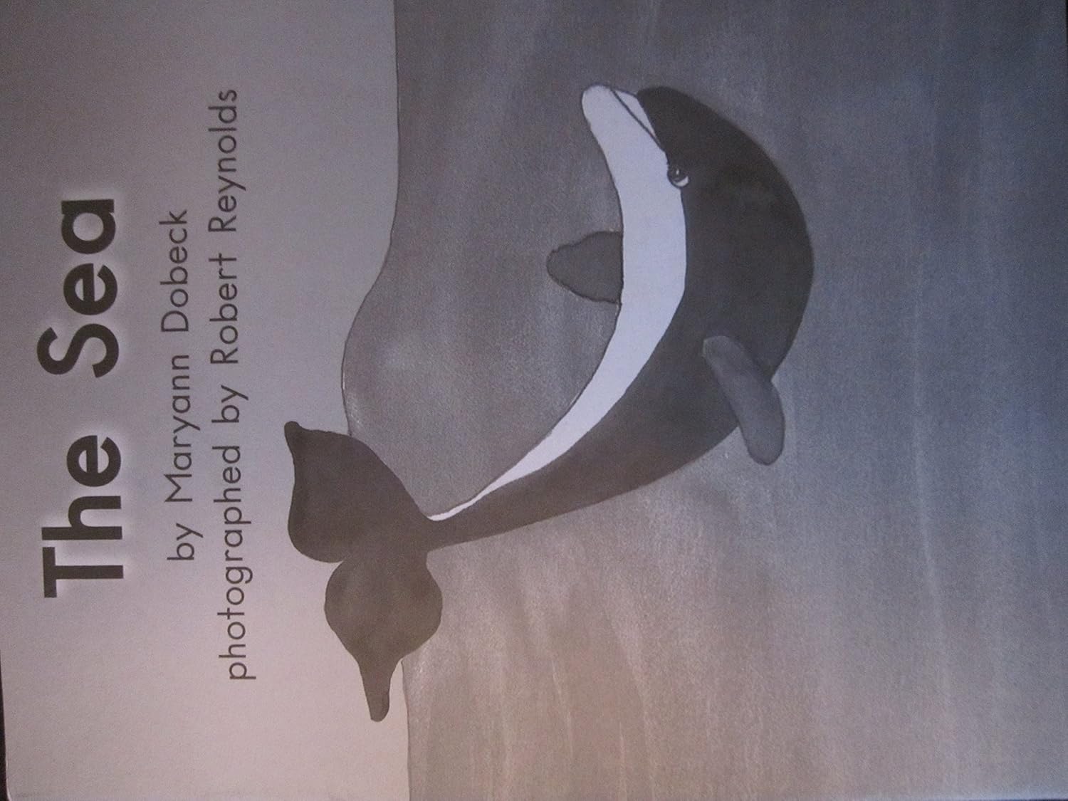 The Sea (Fountas and Pinnell Leveled Literacy Intervention Books, Blue ...