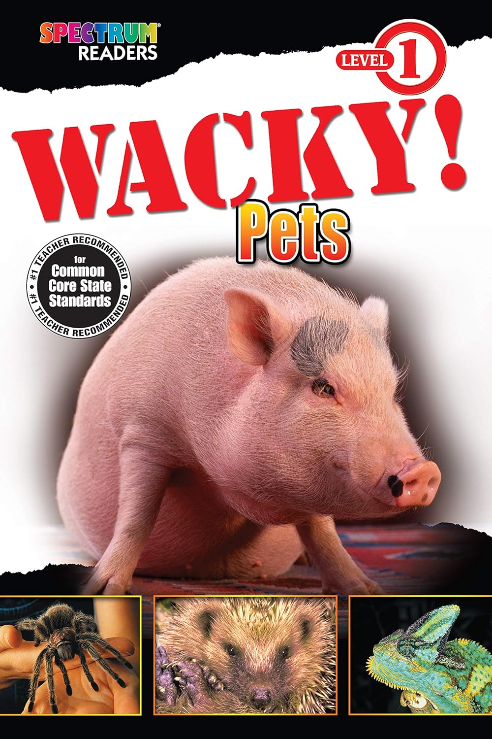 Wacky! Pets Reader, Grades Preschool - 1: Level 1 (Spectrum® Readers ...