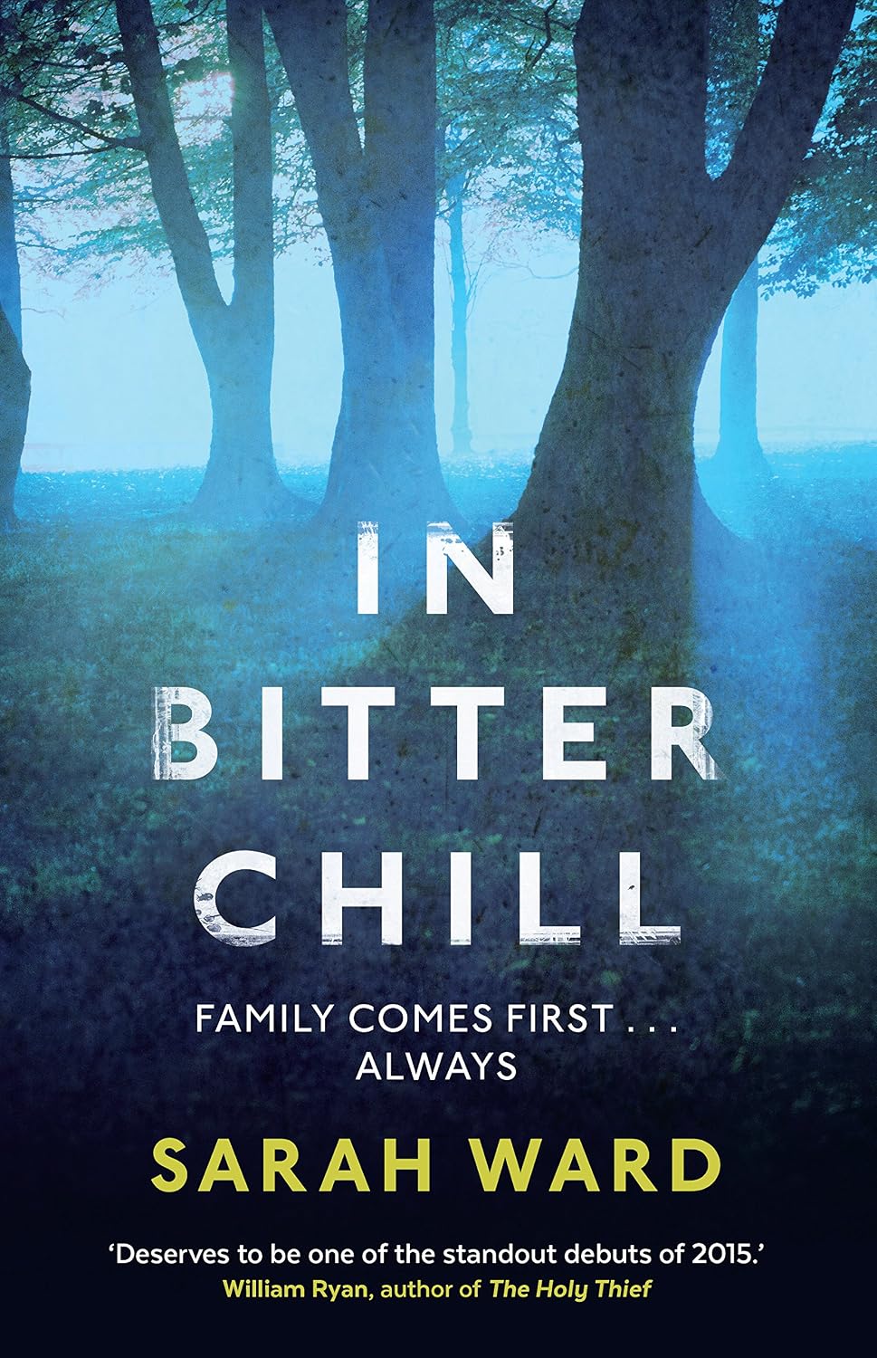 In Bitter Chill : Ward, Sarah: Amazon.co.uk: Books