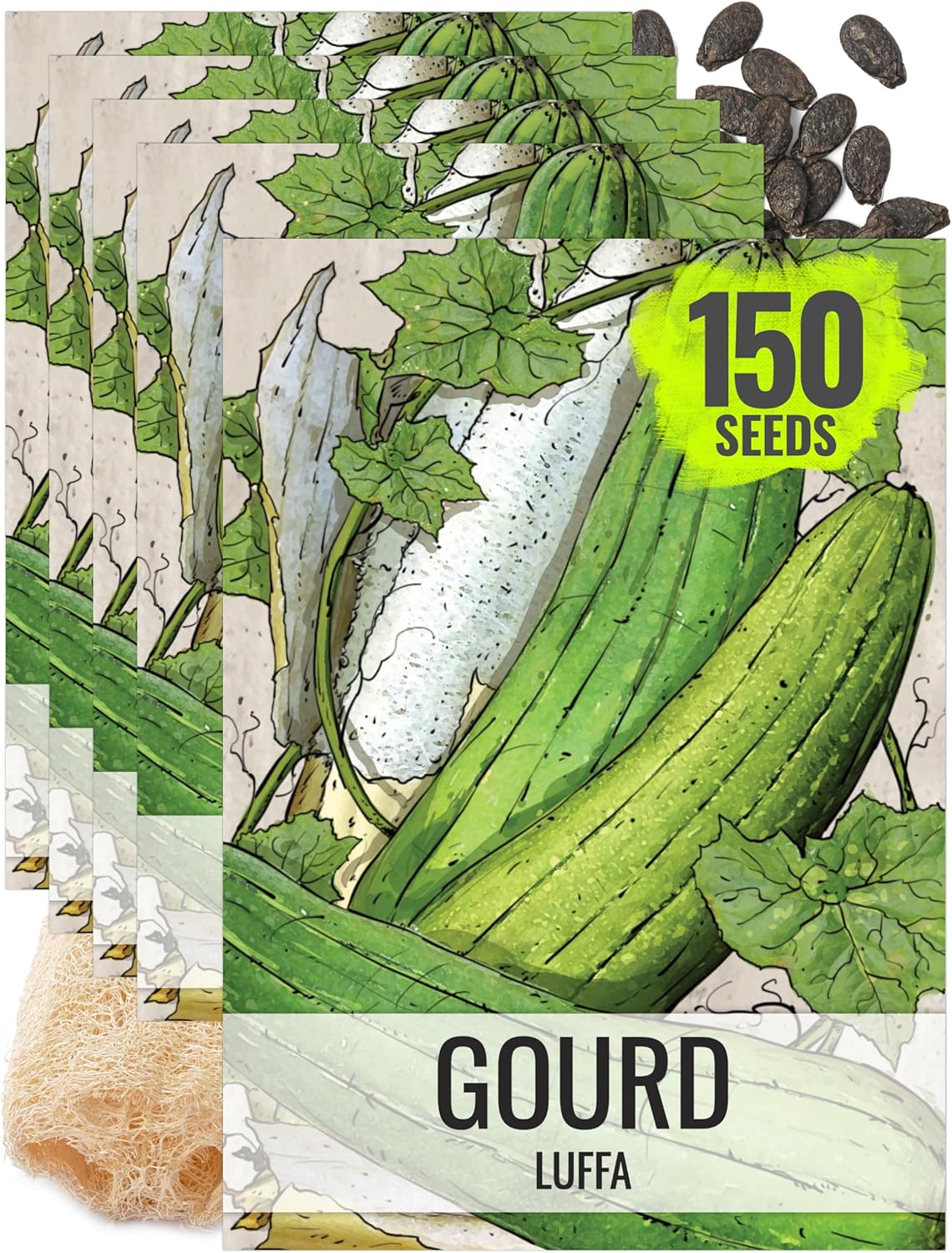 Amazon.com : Seed Needs Luffa Seeds for Planting Loofah Sponge Gourds ...