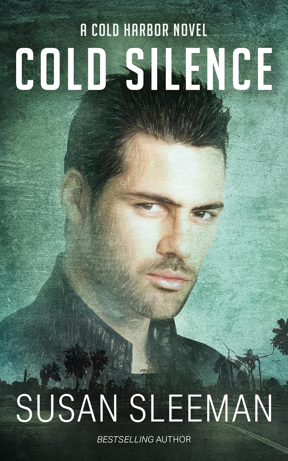 Cold Silence (Cold Harbor Book 1) - Kindle edition by Sleeman, Susan ...