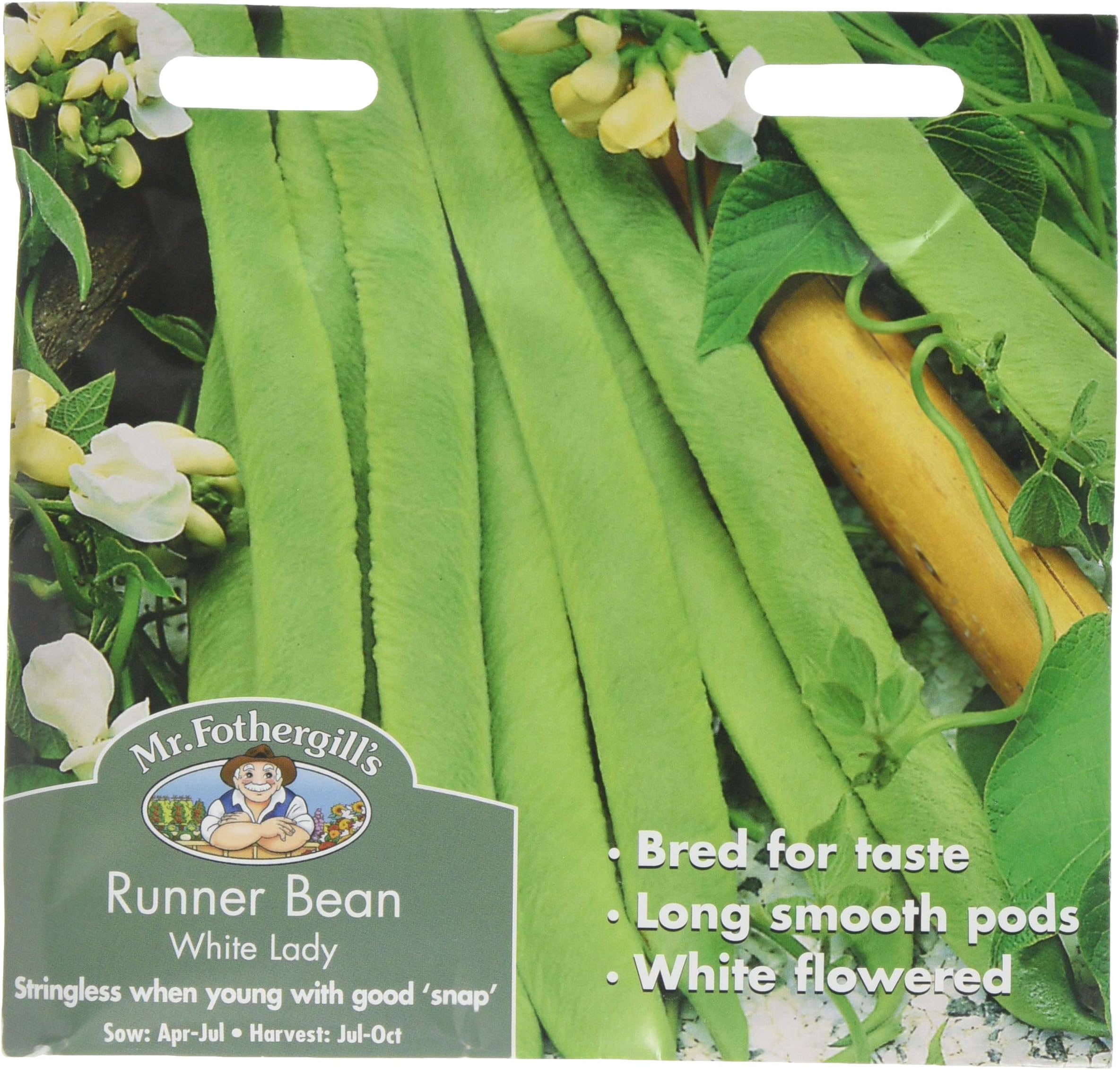 Mr Fothergill's 20092 Vegetable Seeds, Runner Bean White Lady : Amazon ...
