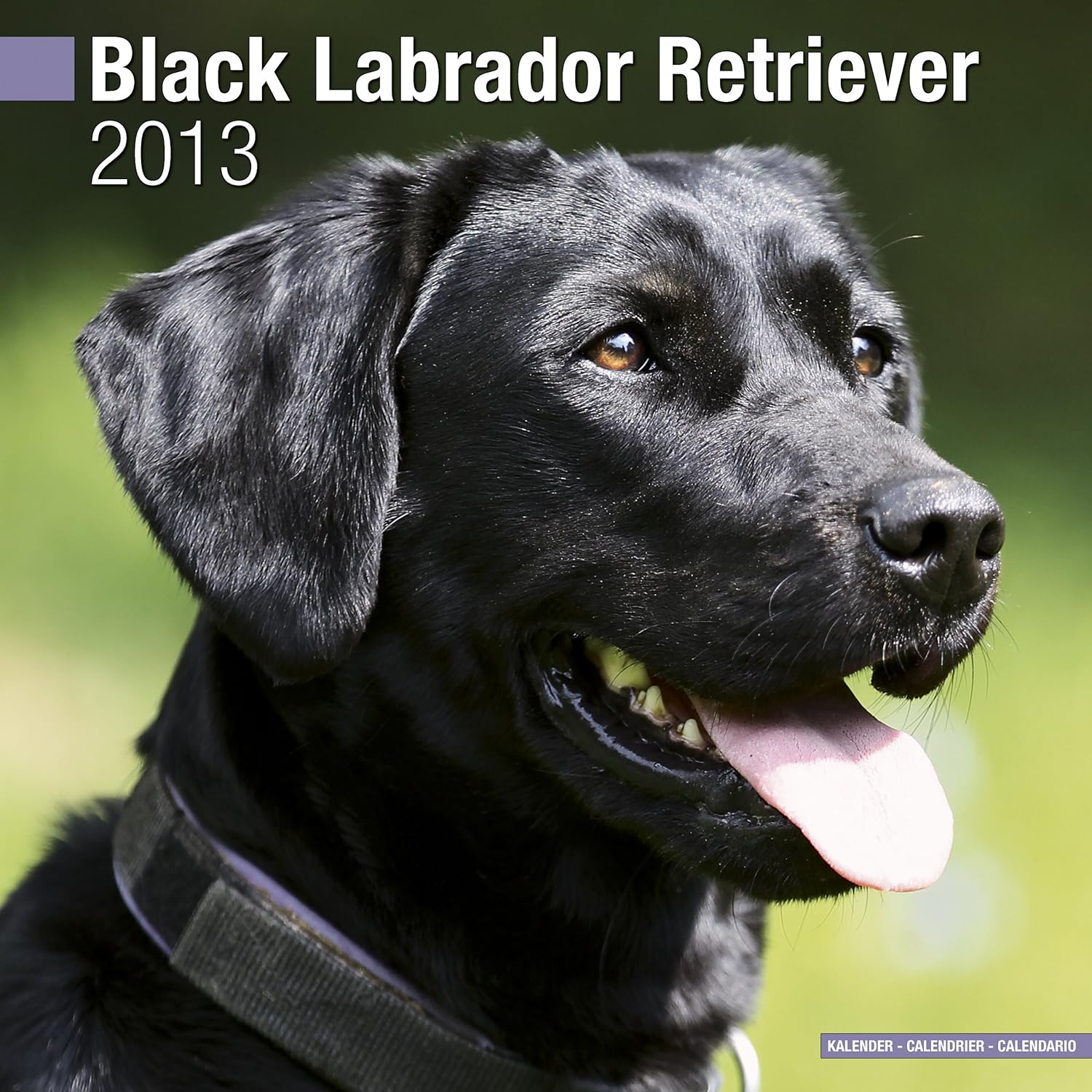 Black Labrador Retriever 2013 Wall Calendar #10016-13: Pet Prints, Inc ...